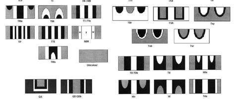 Coding Scheme Used For Colour Patterns Adapted From Savage And Download Scientific Diagram
