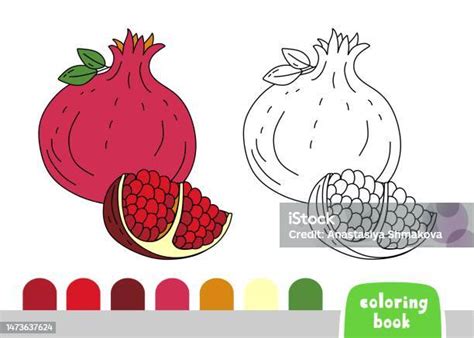 아이 들을 위한 색칠하기 책 석류 책에 대 한 페이지 잡지 색칠 벡터 일러스트 레이 션 0명에 대한 스톡 벡터 아트 및 기타 이미지 0명 과일 교육 Istock