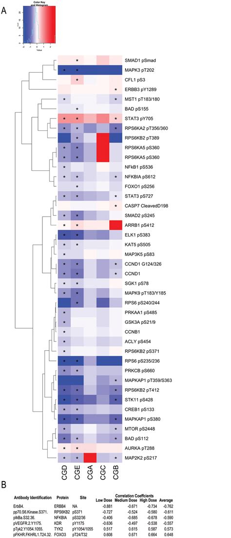 Reverse Phase Protein Array Reveals Downregulation Of Rtk Signaling Download Scientific Diagram