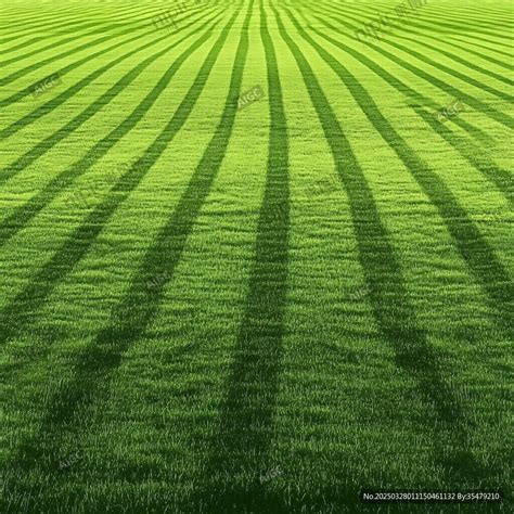 Ai创作图草坪 绿色 草地 条纹 景观 修剪 平整 植被 自然 户外 园艺 生机 清新 生态 环境 昵图网