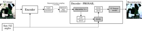 Biophysical Parameter Retrieval From Sentinel 2 Images Using Physics