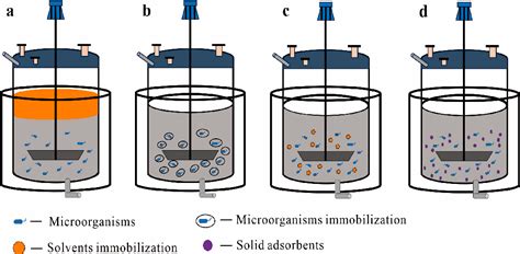 Figure 1 From Two Phase Fermentation Systems For Microbial Production Of Plant Derived Terpenes