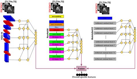 Efficient U Net Architecture With Multiple Encoders And Attention