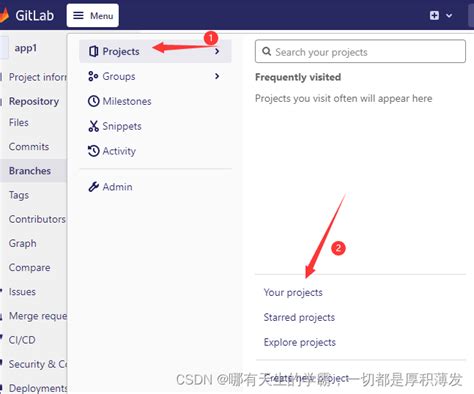 gitlab设置及取消保护分支 gitlab取消分支保护 csdn博客