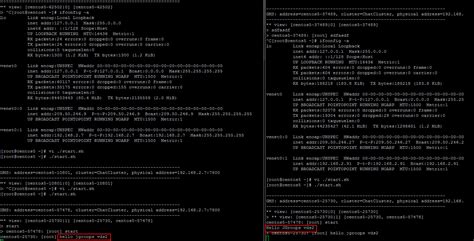 Running Jgroups Cluster On Jelastic Virtuozzo
