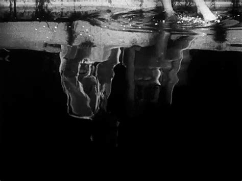 ცოცხალი ფოტოები გიფები თბილისის ფორუმი