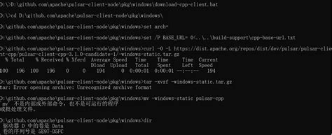 The Download Cpp Clientbat Doesnt Work On Windows · Issue 256