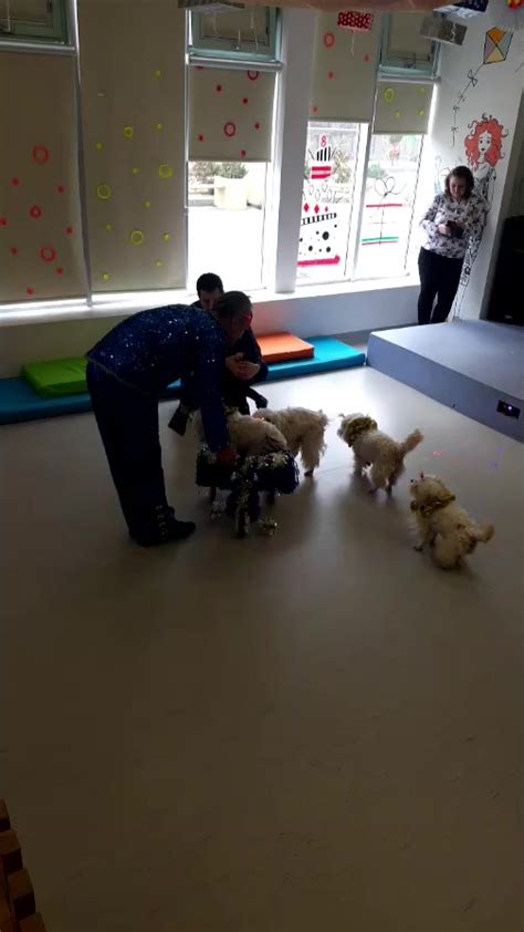 სადღესასწაულო ცენტრი ჰობი • Hobby Home Facebook