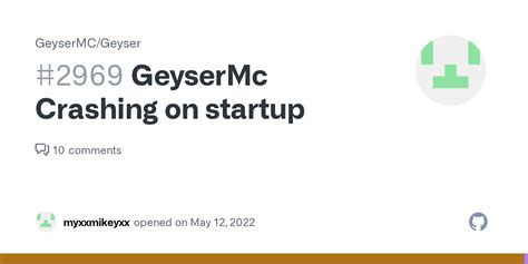 Geysermc Crashing On Startup · Issue 2969 · Geysermcgeyser · Github
