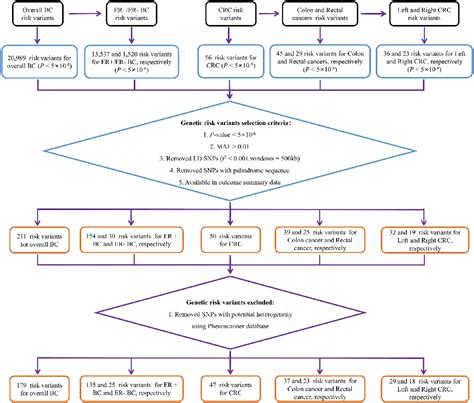 Figure 1 From Bidirectional Mendelian Randomization Analysis