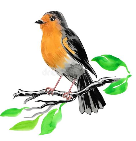 Bird On A Tree Branch Stock Illustration Illustration Of Yellow 362688772