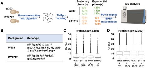 Figure 1 From Comparative Proteomic Analysis Of Two Commonly Used