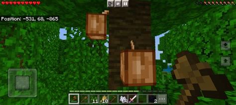 How To Grow Cocoa Beans In Minecraft 2023 A Step By Step Guide
