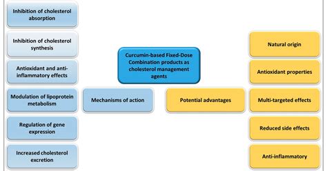 Curcumin Based Fixed Dose Combination Products For Cholesterol