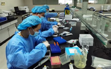 盐城市农业农村局 养殖业 市畜牧兽医站组织参加全省兽医系统实验室检测能力比对活动