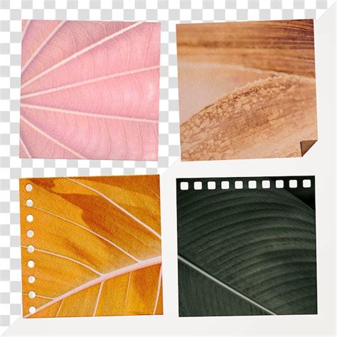 Premium Psd Natural Leaf Patterned Notepaper Set Design Element