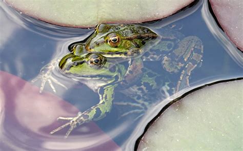 Having Sex On MDMA What You Need To Know