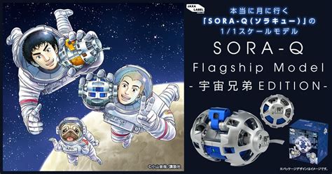 Sora Q Flagship Model At Mildred Bruggeman Blog