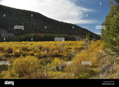 Beaverhead Deerlodge National Forest In Montana Offers Diverse