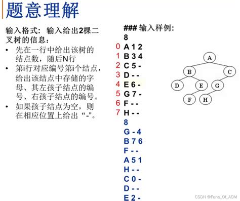 《数据结构》 xb专场：题意理解及二叉树表示 csdn博客