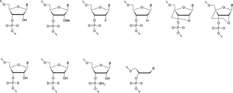 Chemical Modifications To The Ribose Site And Backbone Enhancing The Download Scientific
