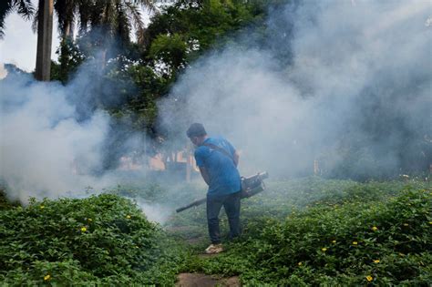 China Wages War On Chikungunya Virus With Drones And ‘elephant