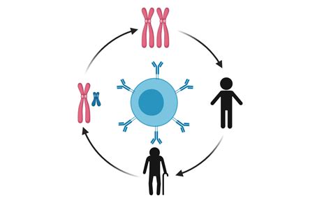 Research — The Klein Lab