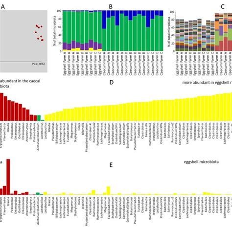 Stacked Bar Plot Depicting Relative Abundance Of All Microbiota Per Download Scientific Diagram