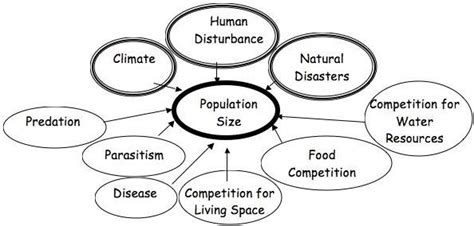 Limiting Factors In A Population