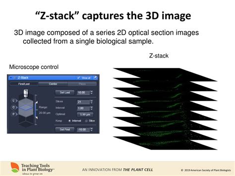 Ppt Computational Image Processing In Microscopy Powerpoint Presentation Id9191181