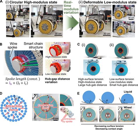 Variable Stiffnessmorphing Wheel Inspired By The Surface Tension Of A