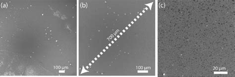 Surface Morphology Of Monolayer Gas Films A Sem Image Of Large Area
