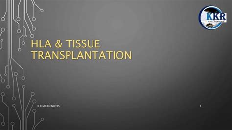 Hla And Tissue Transplantation K Rpptx