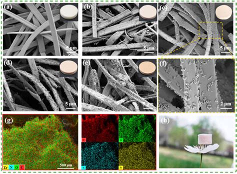 Polymers Special Issue Electrospun Polymer Nanofibers Preparation Design And Characterization