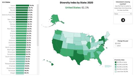 u s census data reveals growing racial and ethnic diversity