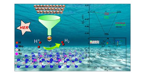 Single Atom Catalyst Implanted Mbenes As Efficient Electrocatalysts For
