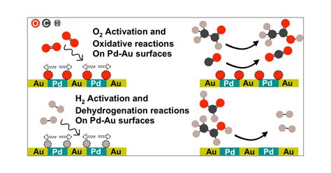 Catalytic Reactions On PdAu Bimetallic Model Catalysts Accounts Of Chemical Research