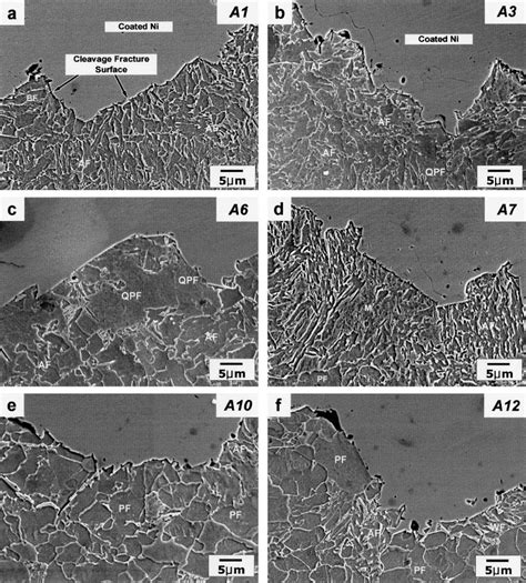 Sem Micrographs Of The Cross Sectional Area Beneath The Cleavage Download Scientific Diagram