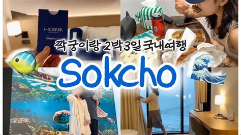 2박3일 속초여행🐬 5년차 커플의 먹방투어😋 홈마리나속초 호캉스🍷 중앙시장 현지인 횟집🍽️ 오션뷰 카페🌊 뮤지엄엑스🌟 Youtube