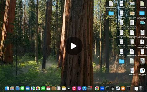 Ai Knowledgegraph Webdevelopment Edtech Machinelearning Neo4j
