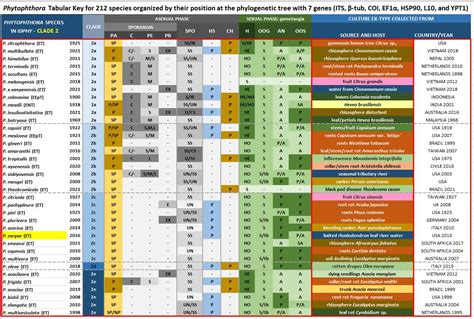 Phytophthora Caryae Idphy