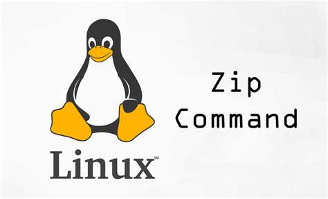 Master The Zip Command In Linux Your Ultimate Guide And Examples