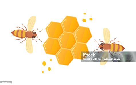 꿀벌 벌집 육각형 천연 꿀 구조체 곤충과 꿀 벌집과 꿀벌 구성 벡터 일러스트 레이 션입니다 0명에 대한 스톡 벡터 아트 및 기타 이미지 Istock