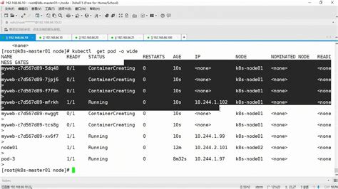 Kubernetes 集群调度 固定节点调度 YouTube