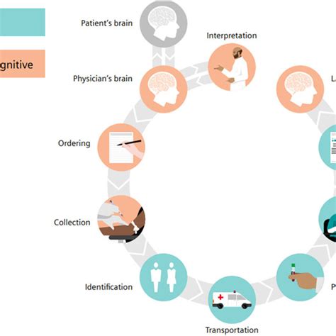 Categories Of Laboratory Processes And The Corresponding Labs Emphasis