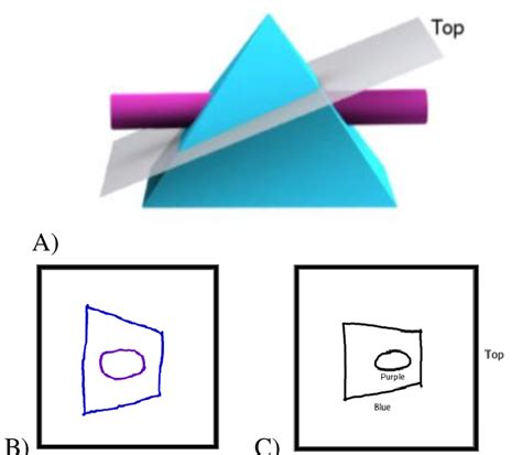 A Cross Sectioning Problem A The Assignment B The Instructor