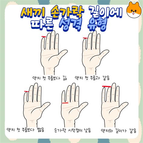 더쿠 새끼 손가락 길이에 따른 성격 유형 오른손