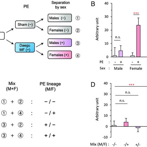 Female Vs Male Geotactic Magnetic Imprinting A Schematic Of Mf