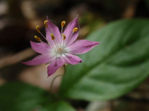 Science Chapter 6 Diagram Quizlet