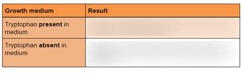 Lecture 16 Gene Expression And Control Tryptophan Diagram Quizlet